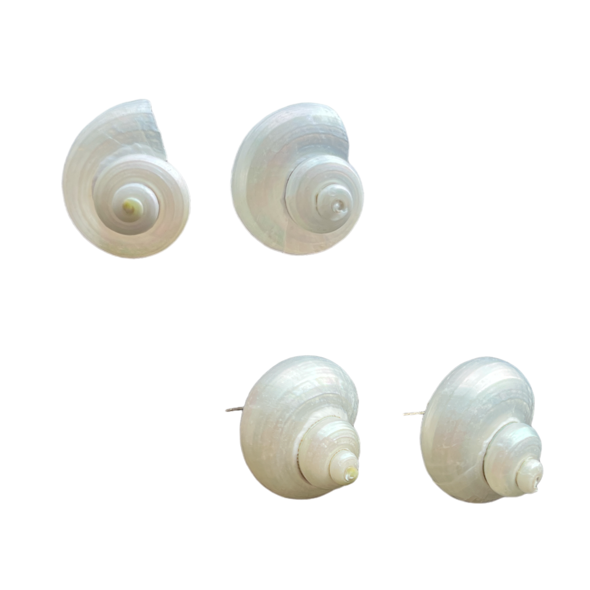 De Concha Earrings – MyPerlitas